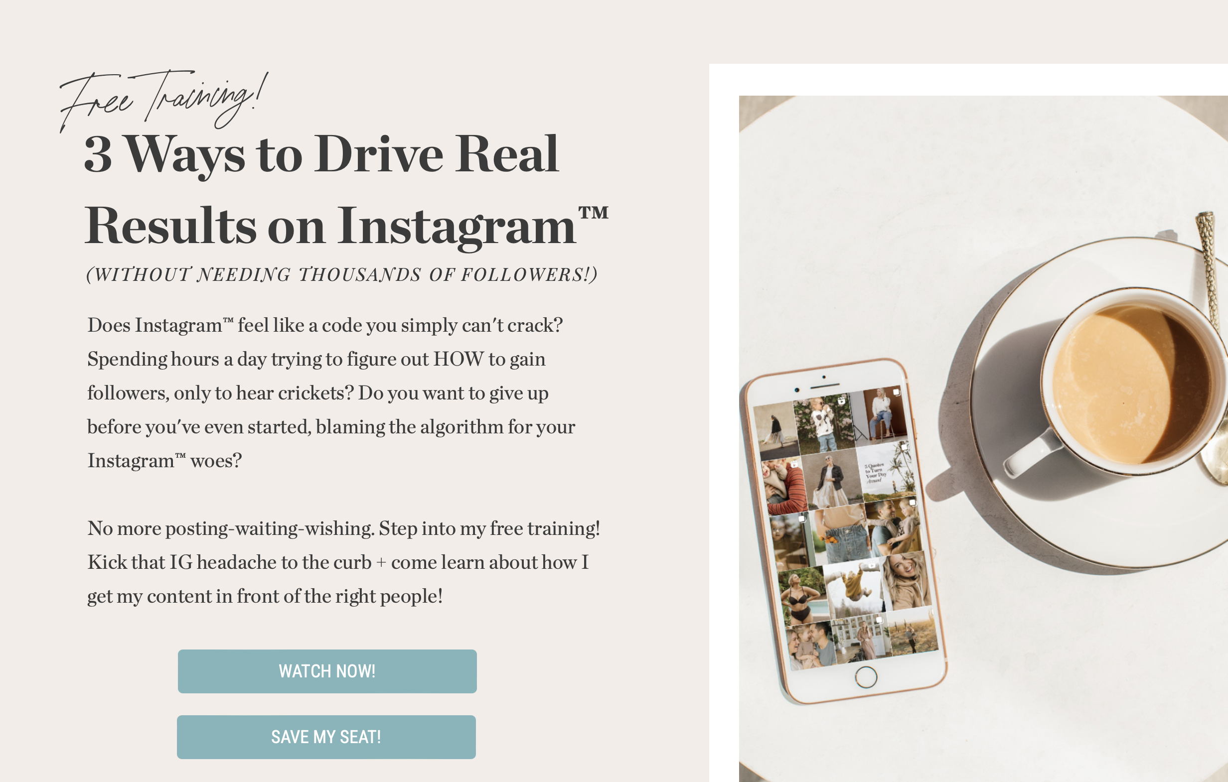 Creating an Irresistible Opt-In Offer - Sydney Chamberlain